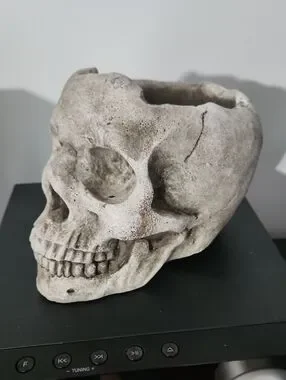 Art | Skull Planter Concrete | Poshmark